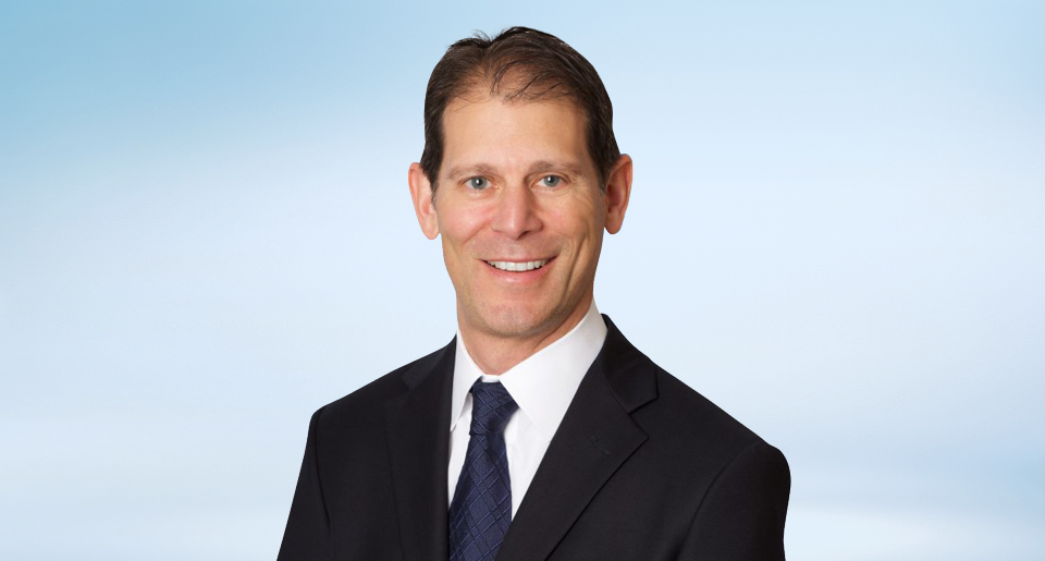Daniel I. Goldberg | Litigation, Corporate & Employment Counsel
